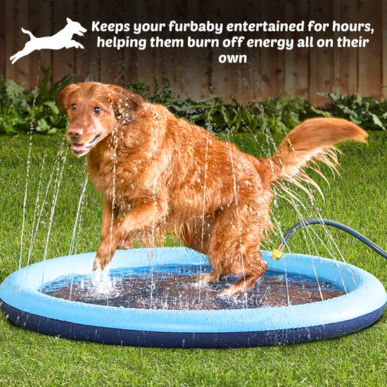 Splashy - Dog Sprinkler Pool – smilingpaws