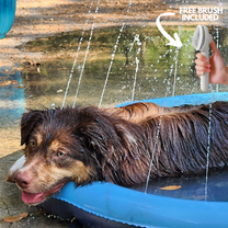 Splashy™ - Dog Sprinkler Pool – smilingpaws