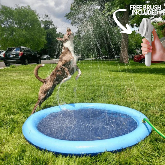 Splashy - Dog Sprinkler Pool – smilingpaws
